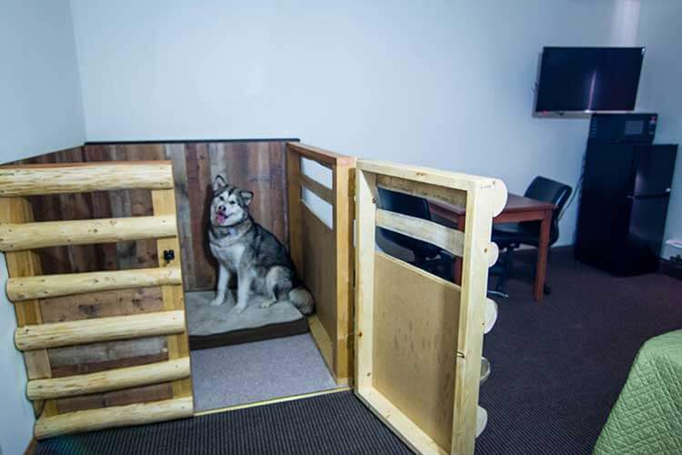 Pet-Friendly Room - Caribou Hotel